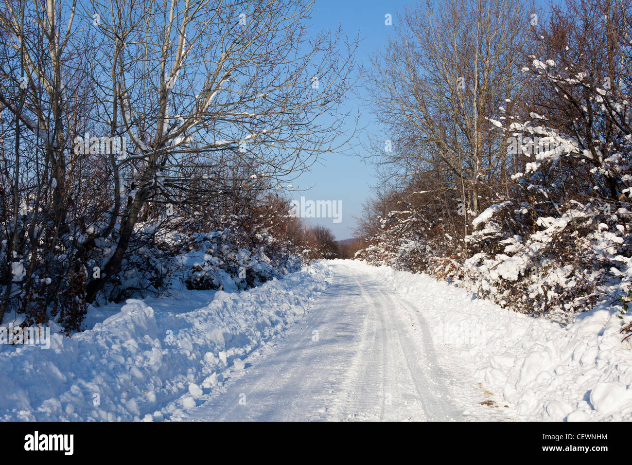 Landscape with a snowy road in countryside Stock Photo - Alamy
