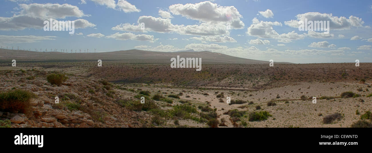 Panoramic desert in Fuerteventura island Stock Photo - Alamy