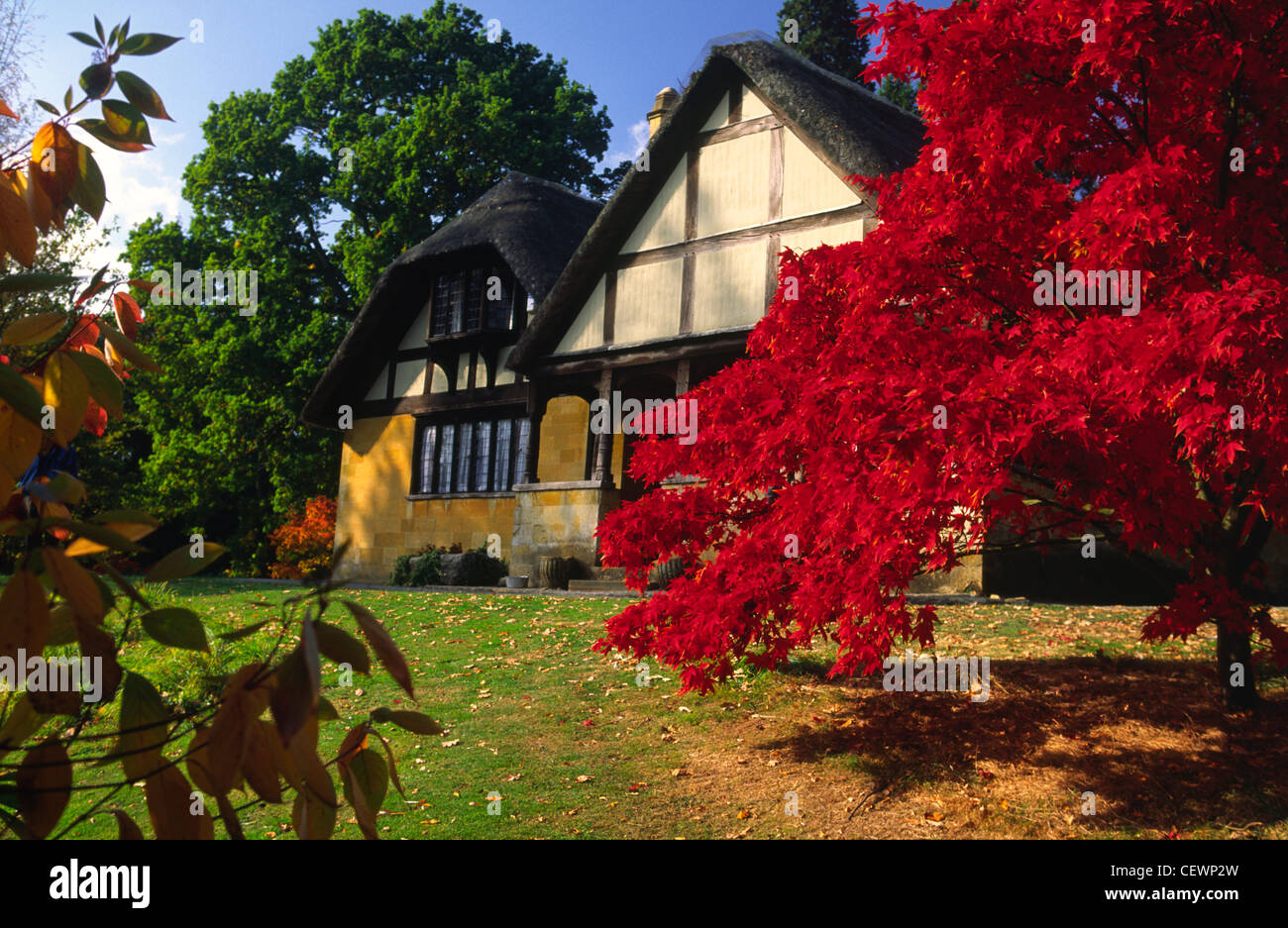 Autumn colour in Batsford Arboretum Stock Photo - Alamy