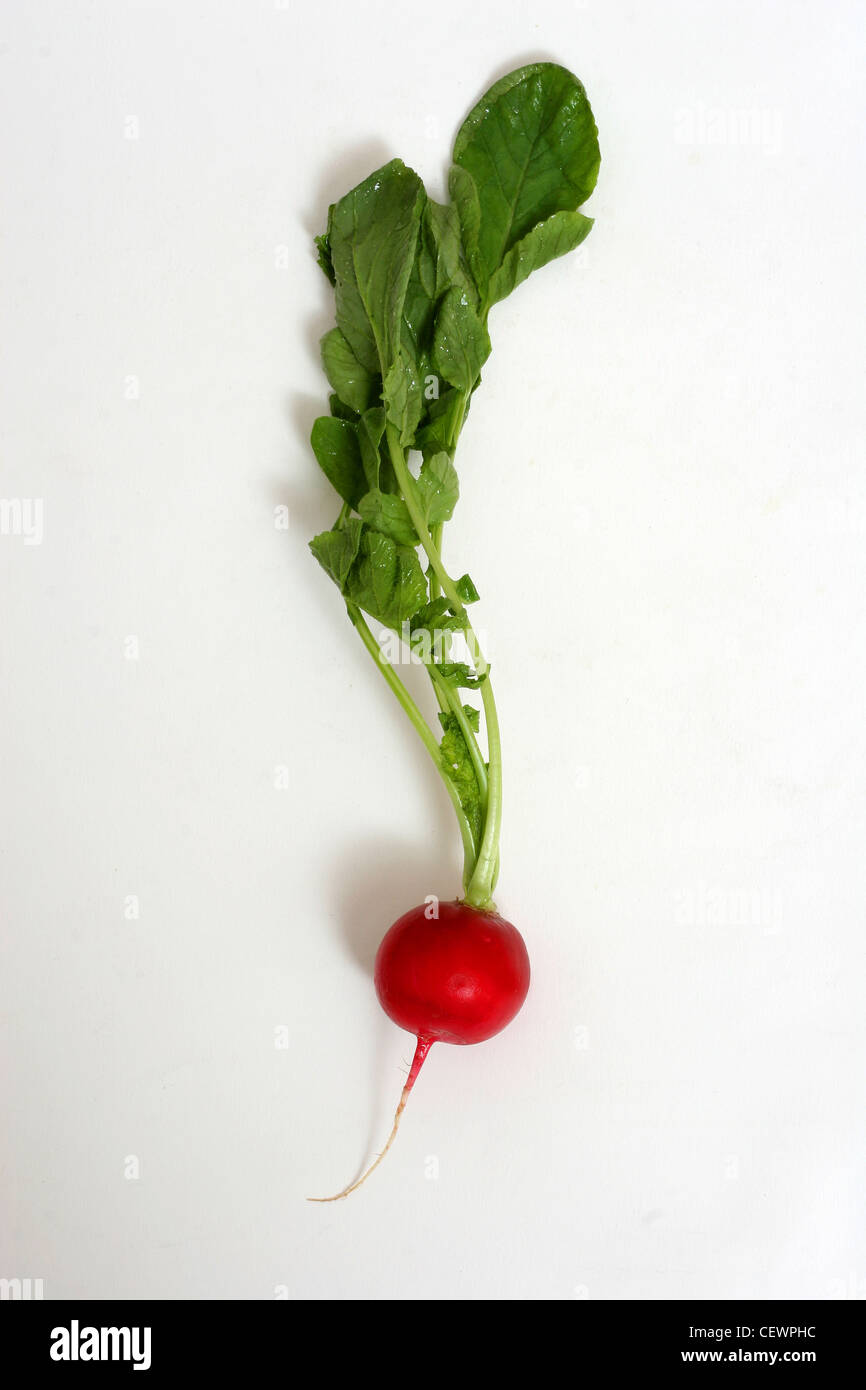 A cut out of a radish, with its leaves Stock Photo - Alamy
