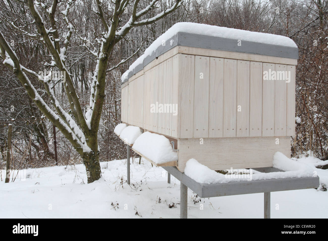 Beehives in apiary covered hi-res stock photography and images - Alamy