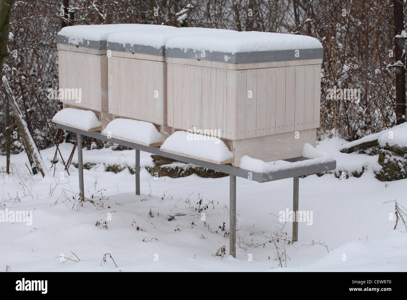Beehive beekeeping apiary beehives hi-res stock photography and images ...