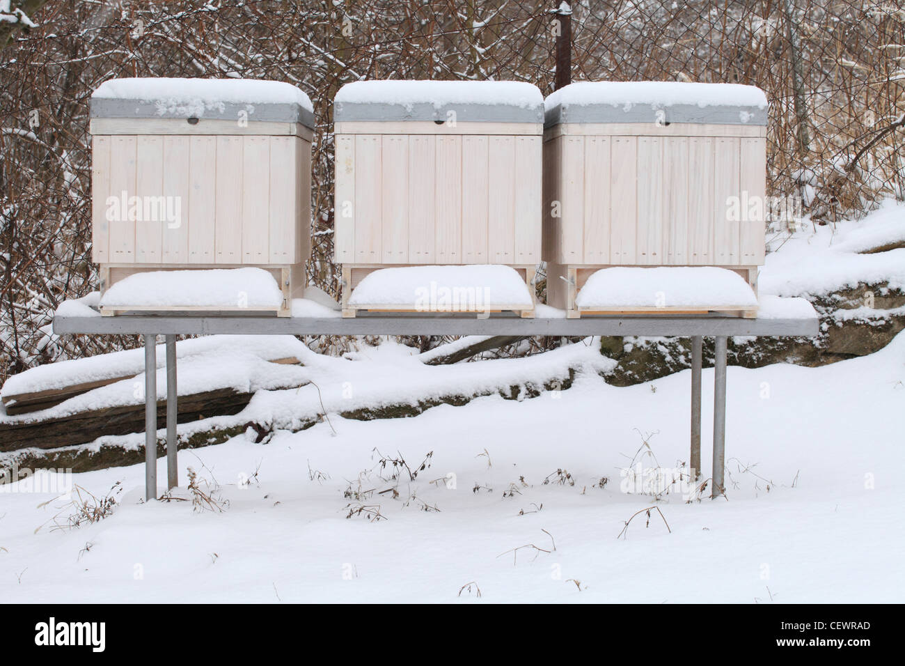 Wooden beehives covered by snow on the apiary in Slovakia Stock Photo ...