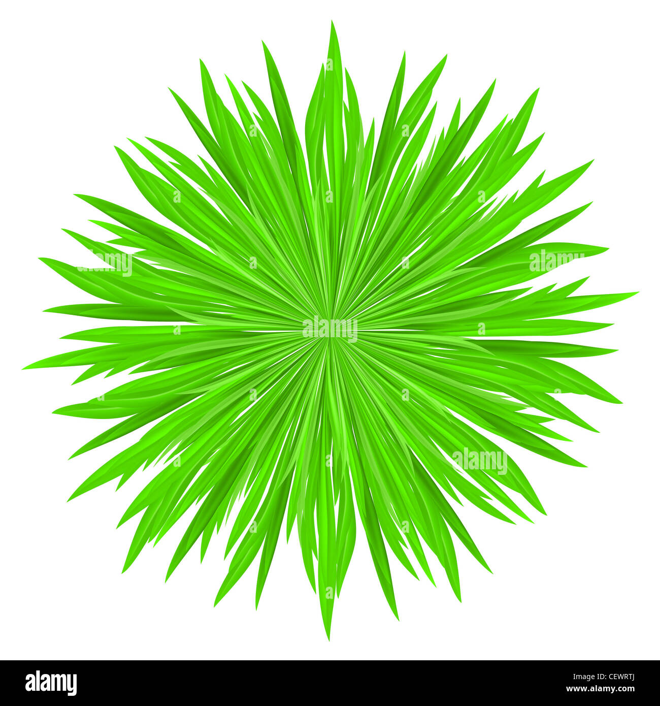 Plain circle frame border hi-res stock photography and images - Alamy