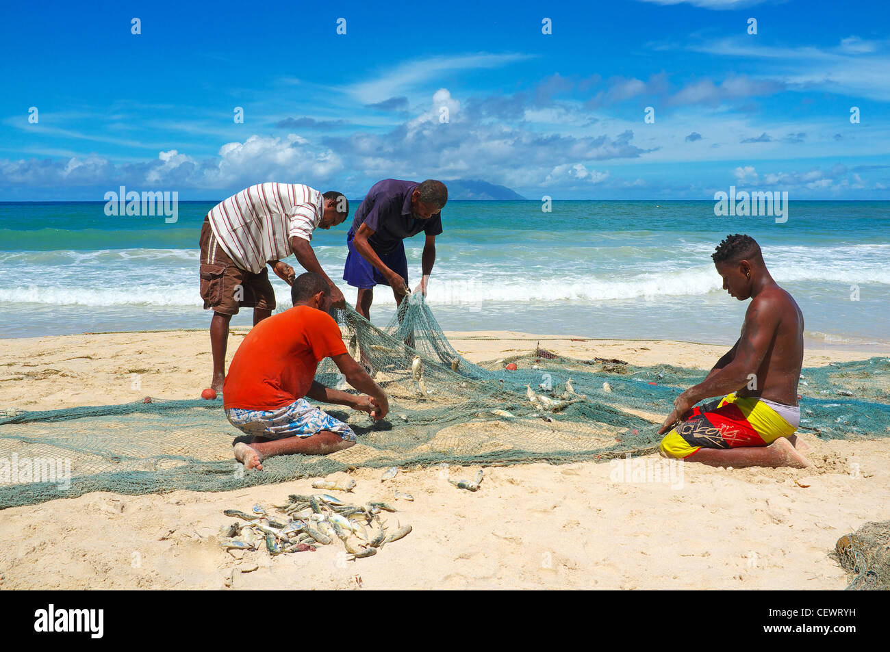 Four local fishermen emptying the fishing nets on the beach at Mahe ...