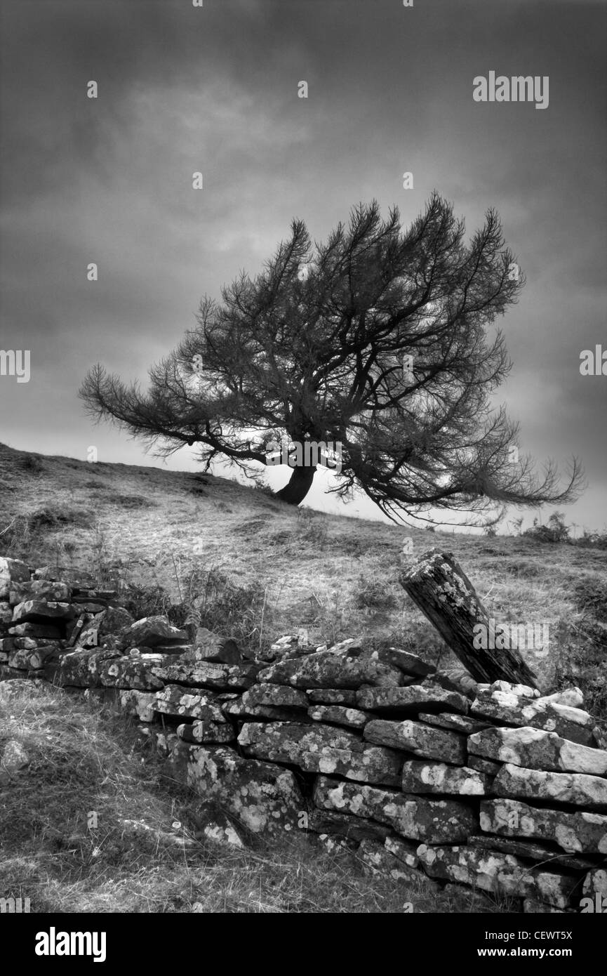 Welsh wall Black and White Stock Photos & Images - Alamy