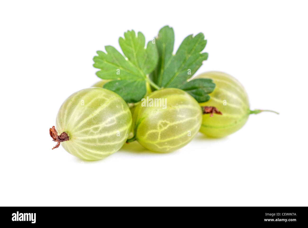 green ripe gooseberries isolated on a white background Stock Photo - Alamy