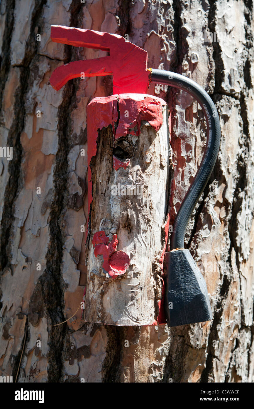 Fire Hydrant made of wood on Table MOuntain National Park - Cape Town ...