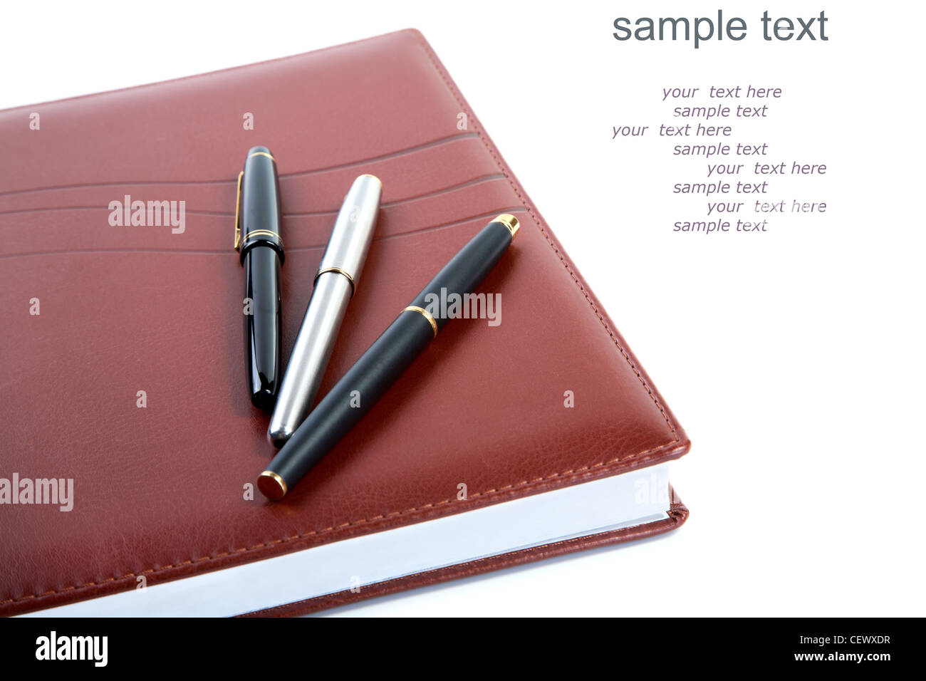 Leather organizer a fountain pen (with sample text) on white background ...