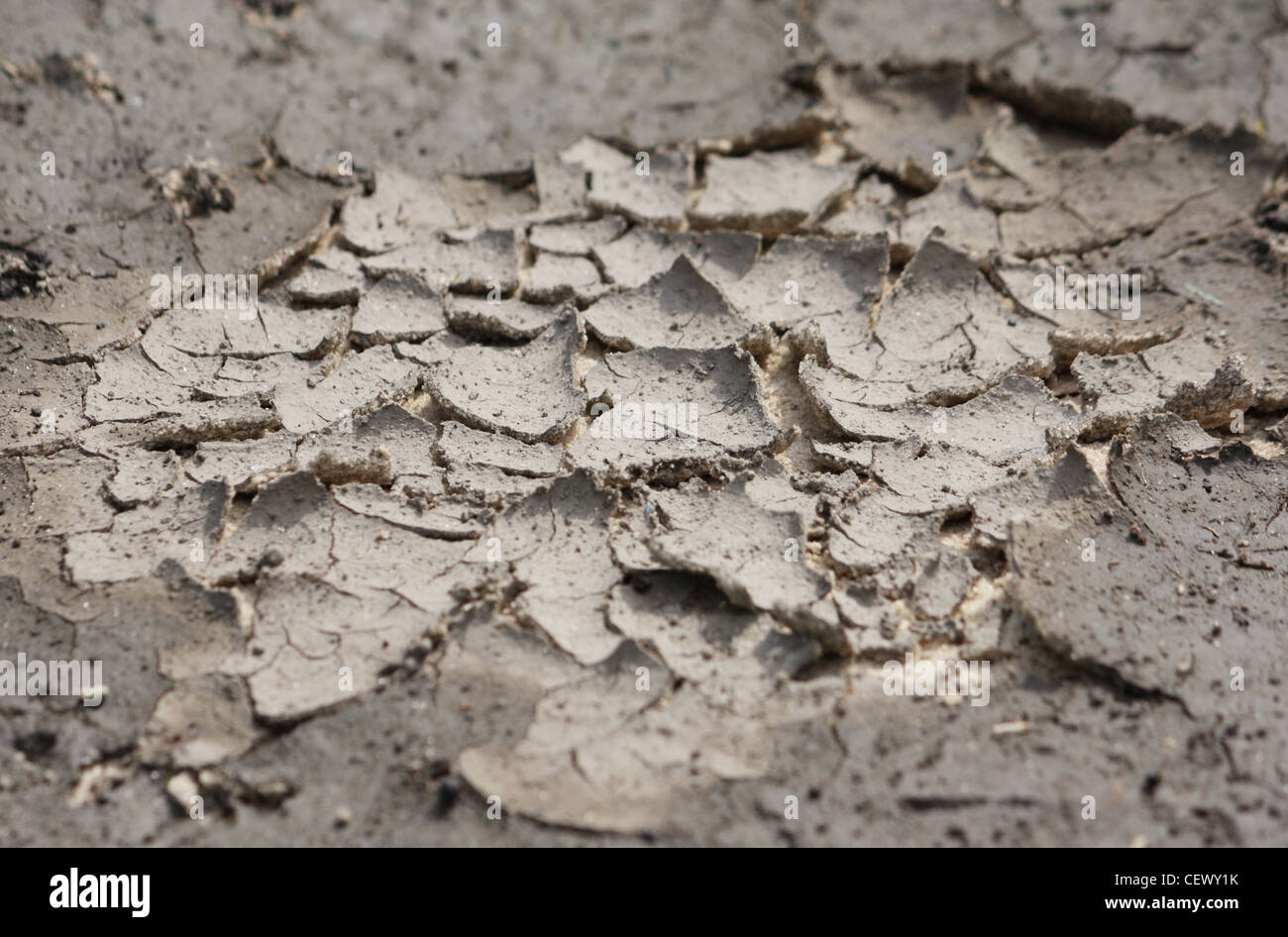 Close-up photo of a dry cracked ground Stock Photo - Alamy