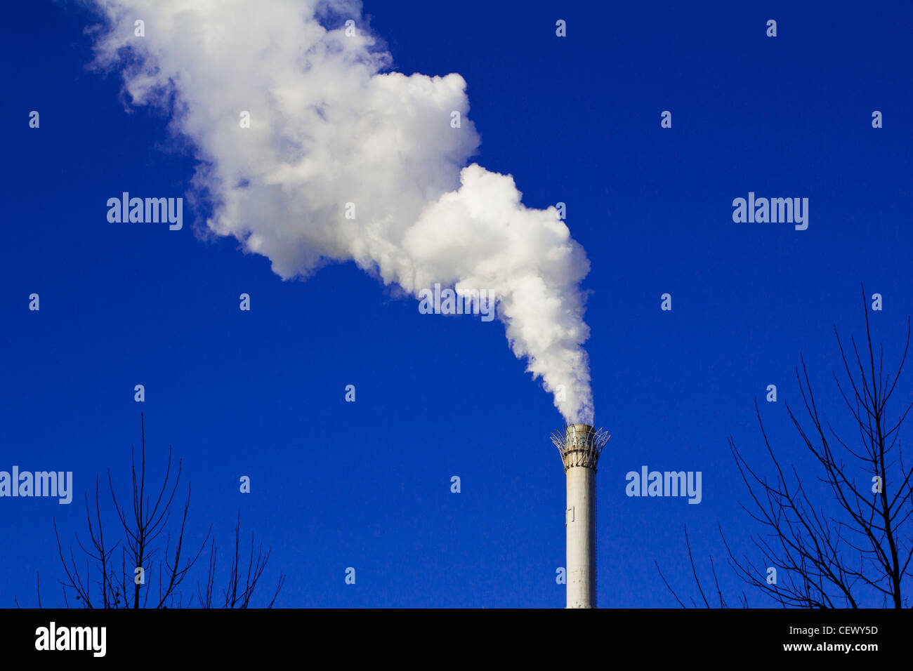 Chimney Tree High Resolution Stock Photography and Images - Alamy