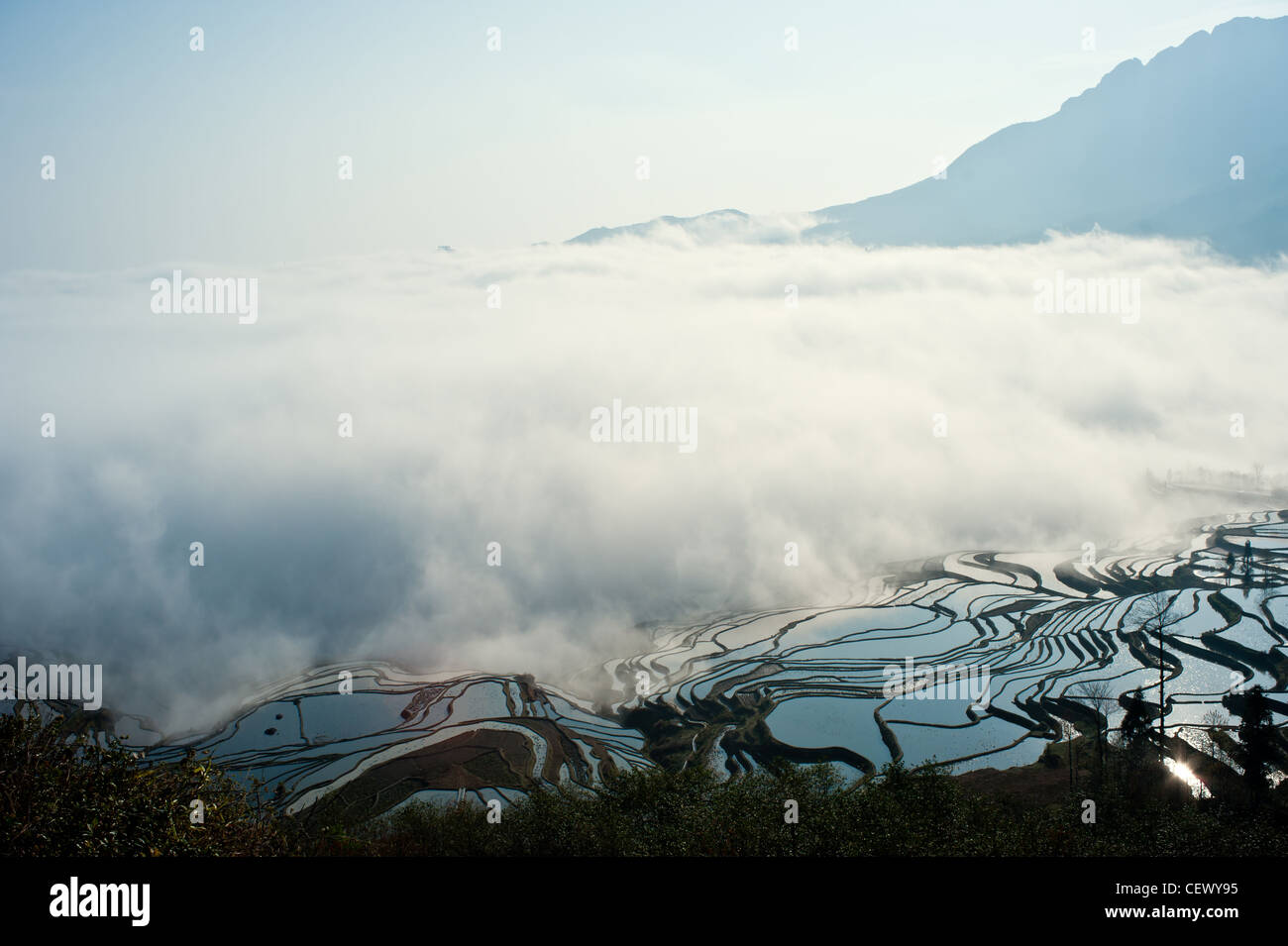 China Yunnan, Yuanyang terraced color Stock Photo - Alamy