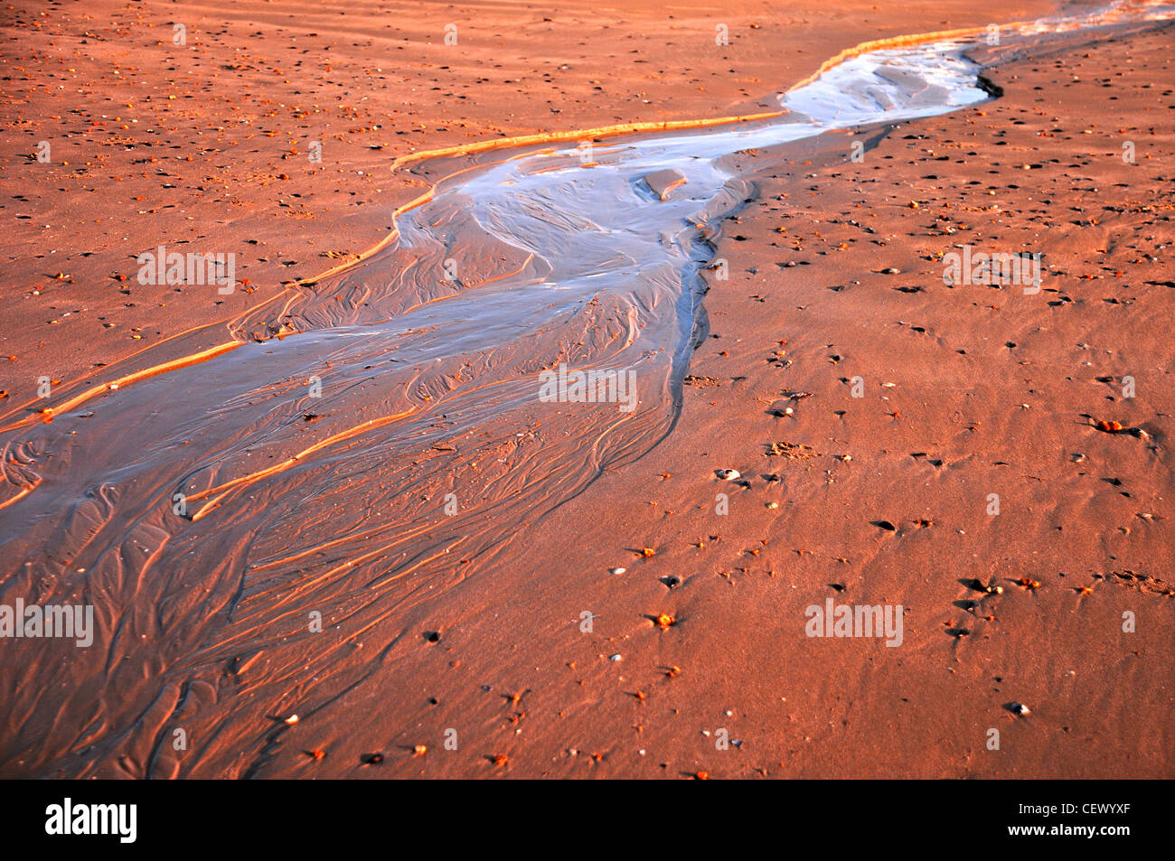 Stream Running Into The Sea High Resolution Stock Photography and ...