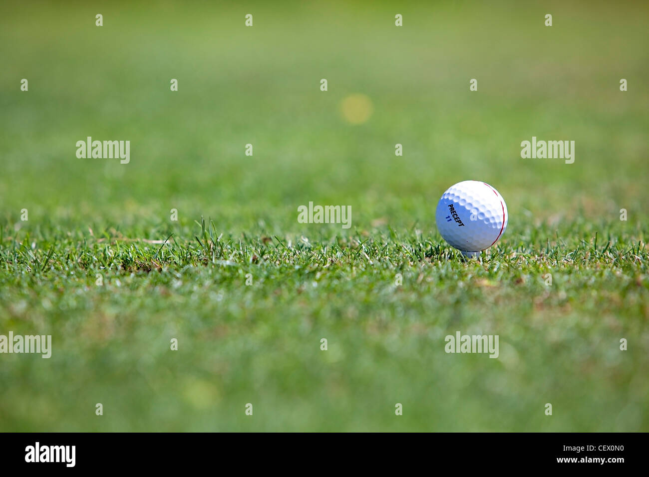 Detail of golf ball on grass Stock Photo - Alamy