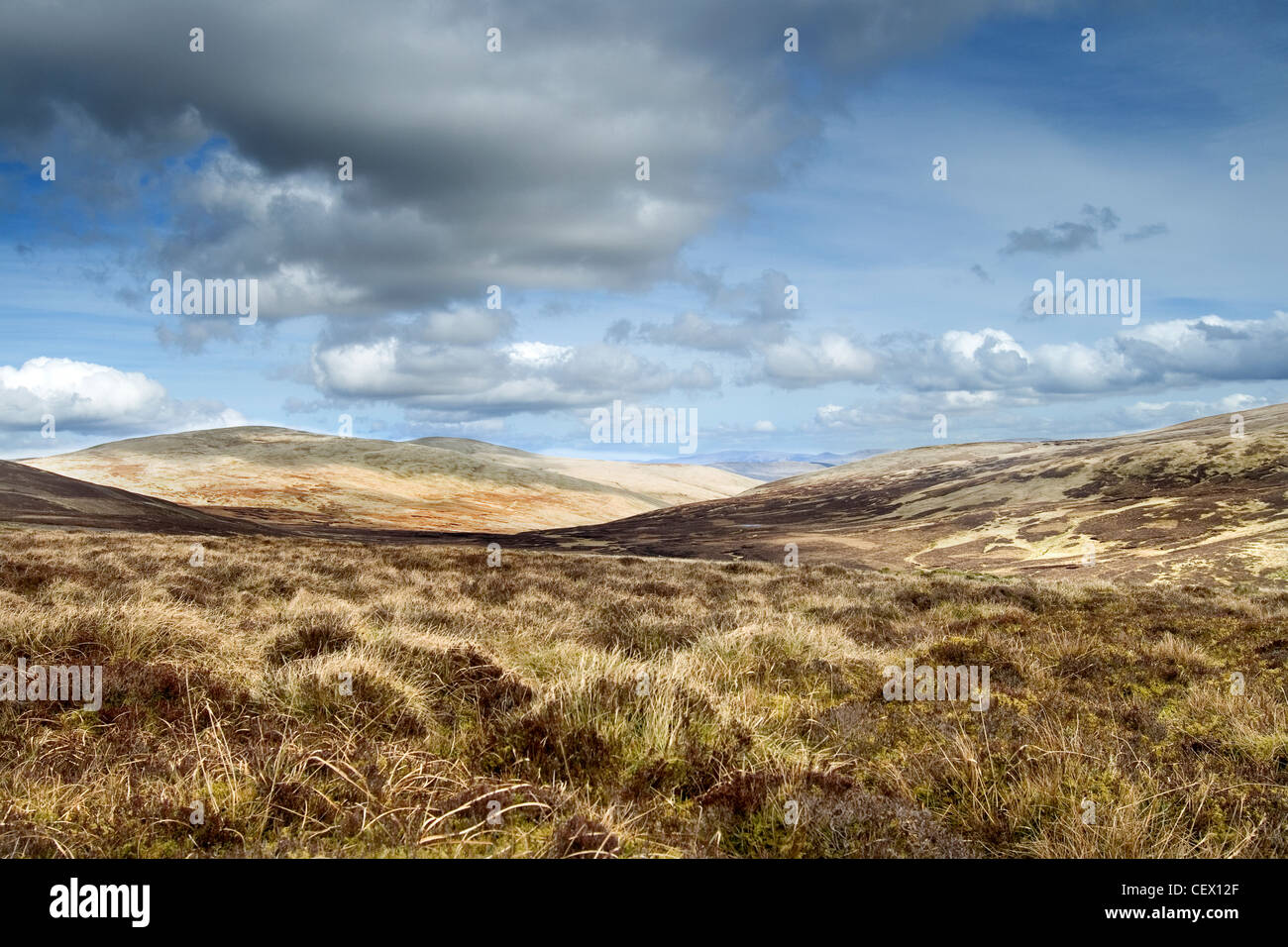 Grassland hi-res stock photography and images - Alamy