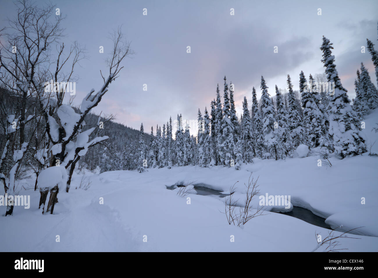 Winter river and taiga forest in Siberia mountains. Kuznetskiy Alatau ...