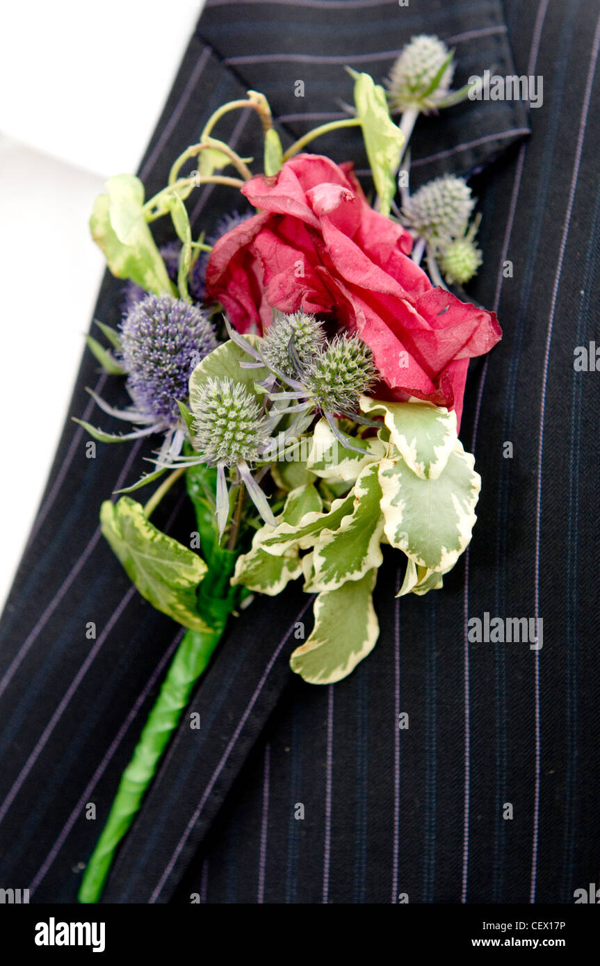 Stonehouse photographic hi-res stock photography and images - Alamy