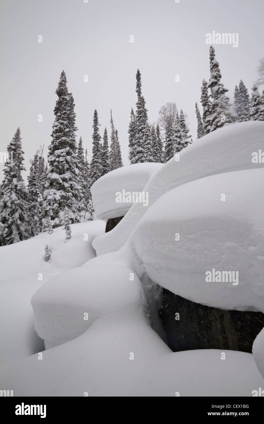 Snow rocks and taiga forest in Siberia mountains. Kuznetskiy Alatau ...