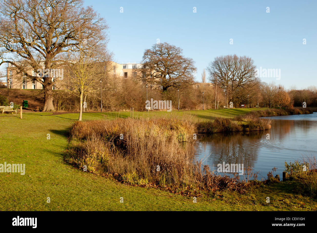 The lake and halls of residence, University of Warwick, UK Stock Photo ...