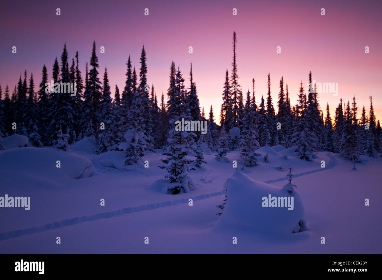 Winter river and taiga forest in Siberia mountains. Kuznetskiy Alatau ...