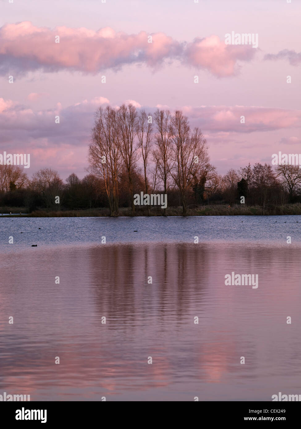Winter sunset over Mallard Lake at the Lower Moor Farm Nature Reserve ...