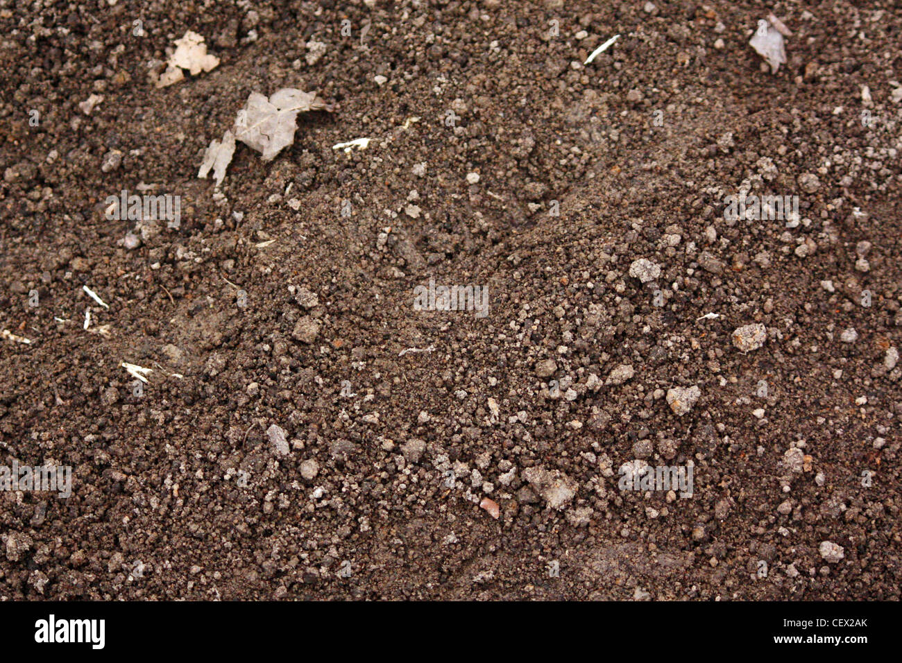 Dry muddy patch Stock Photo - Alamy