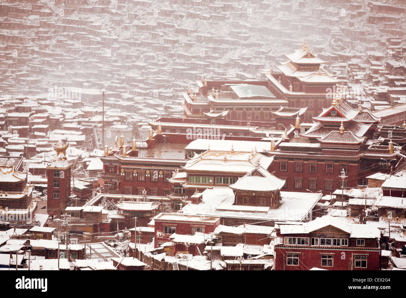 Tibet buddhist institute hi-res stock photography and images - Alamy