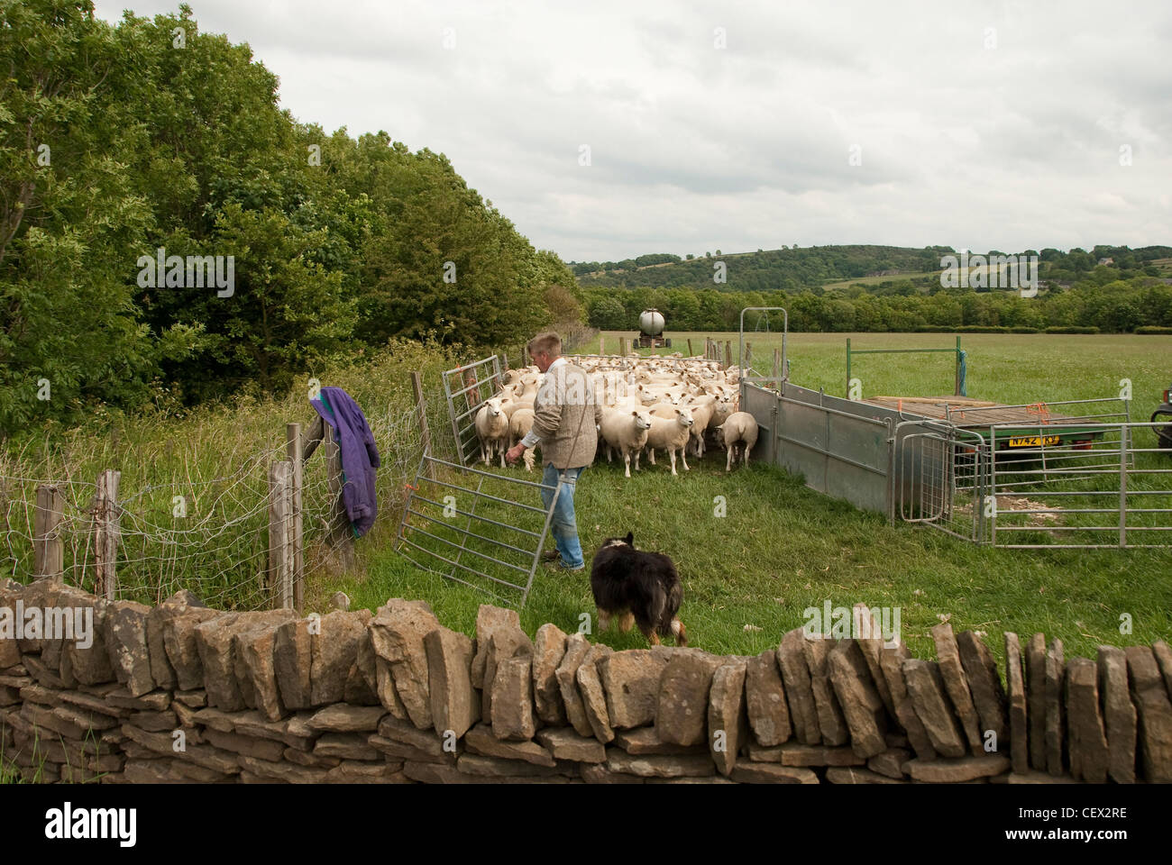 Sheep Pen Gate