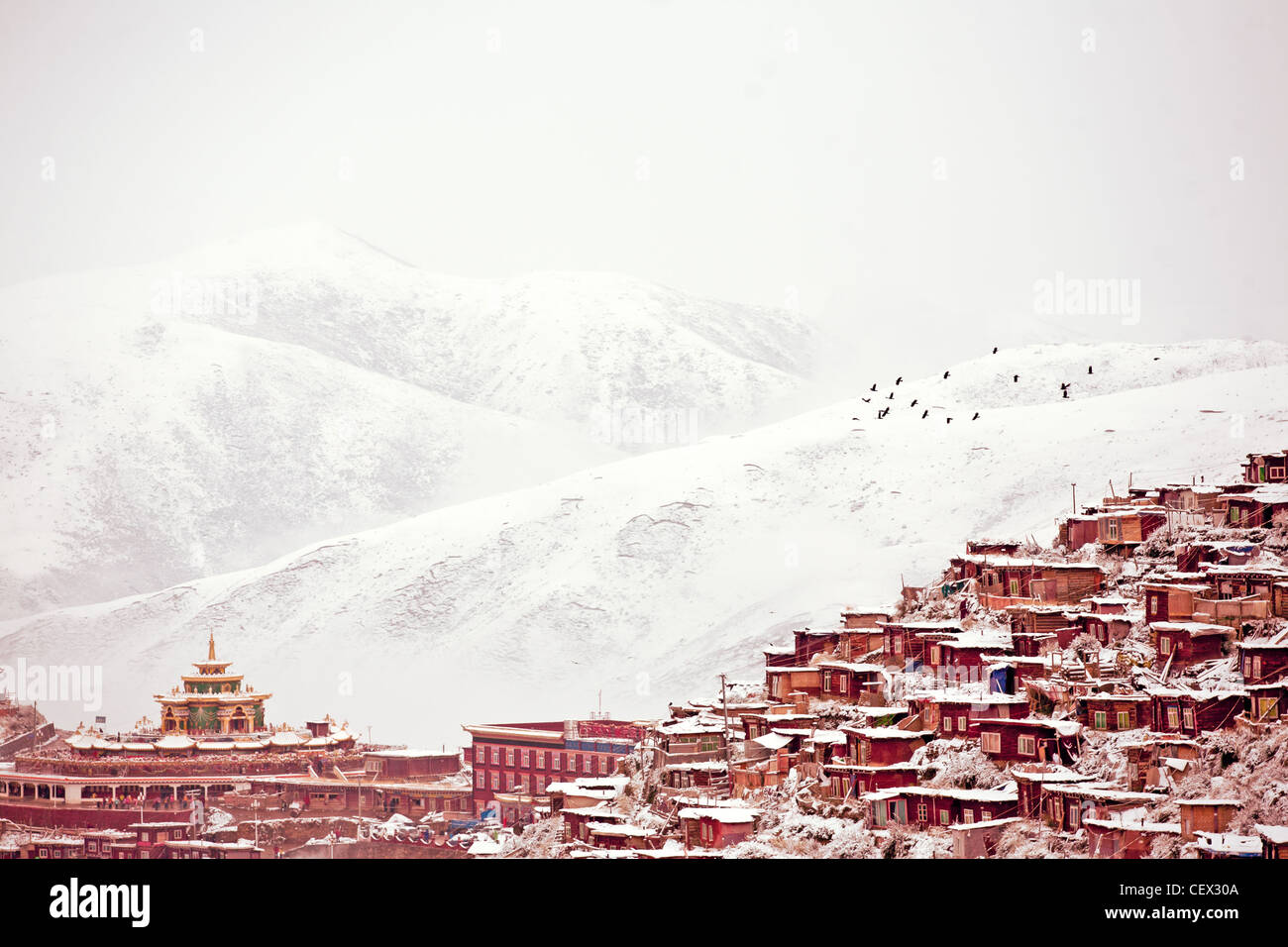 China, Sichuan color Daxian, WUMING Buddhist Institute Stock Photo - Alamy