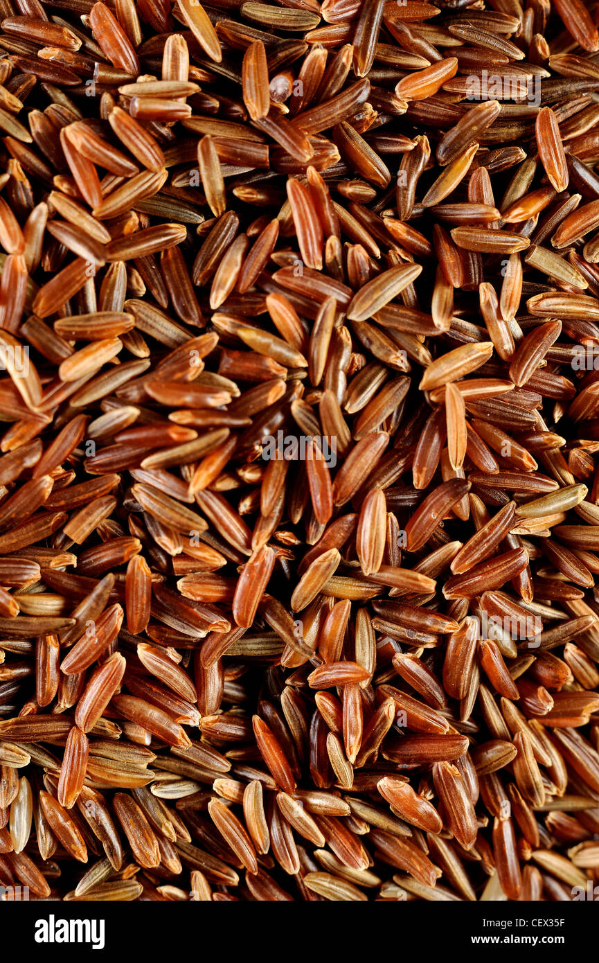 A close up of red rice Stock Photo - Alamy