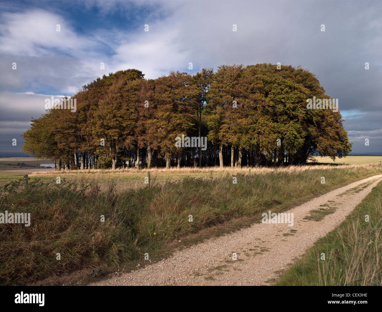 The Ridgeway National Trail covers 87 miles from Avebury in Wiltshire ...