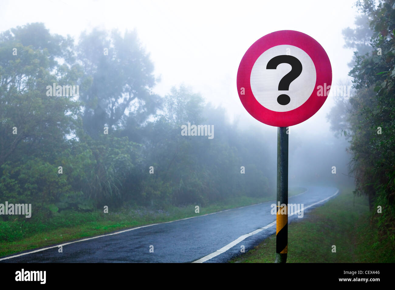 Question mark tree hi-res stock photography and images - Alamy