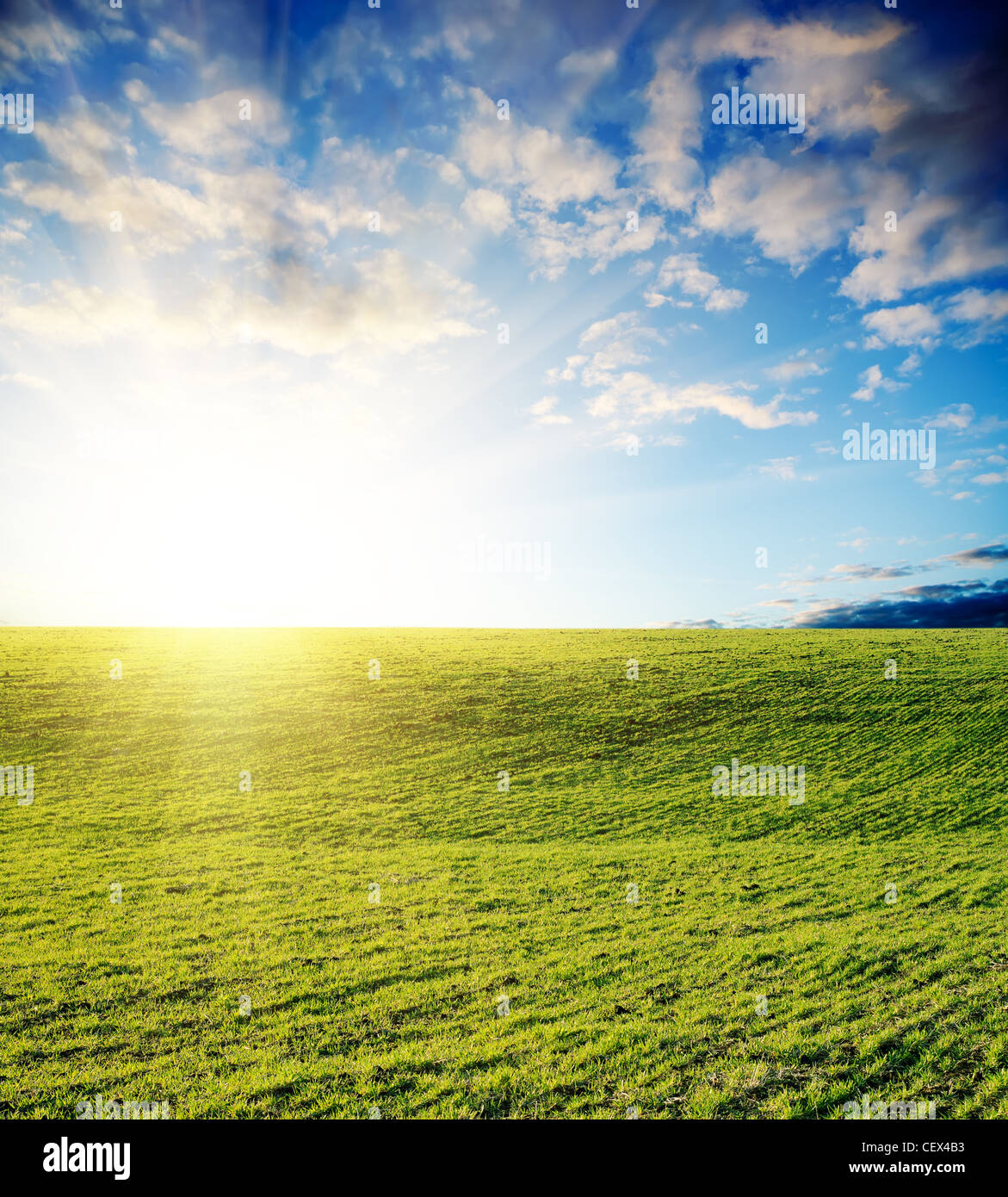 field of grass and cloudy sky on sunset Stock Photo - Alamy