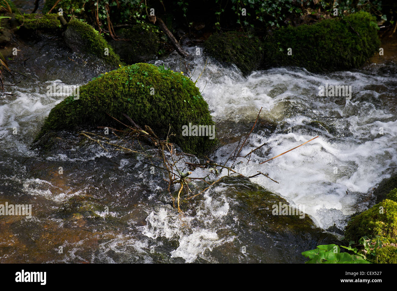 A river flowing around a moss covered rock Stock Photo - Alamy