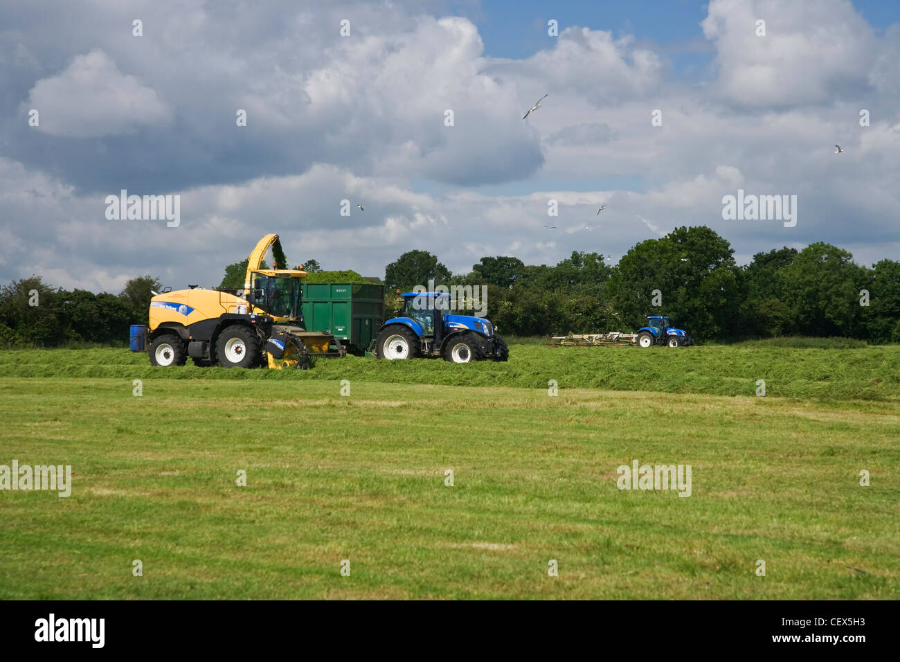 Cutting grass for hay at Blakehill Nature Reserve Stock Photo - Alamy