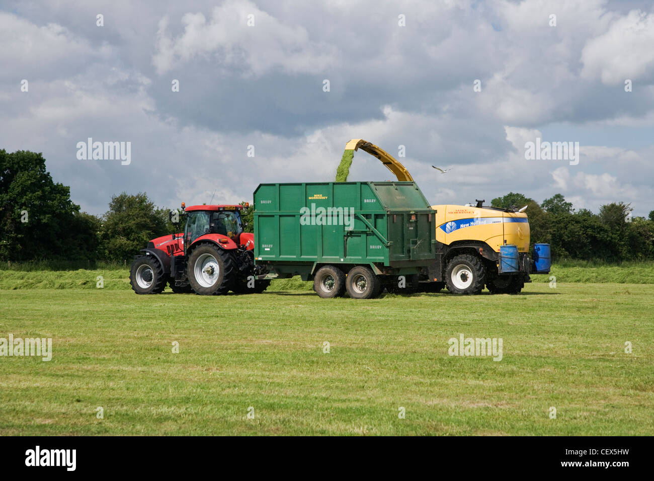 Cutting crops by hand hi-res stock photography and images - Alamy