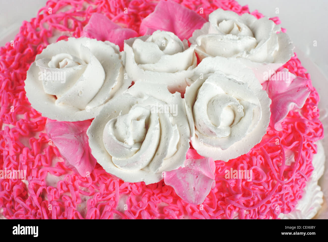 cream cake isolated on a white background Stock Photo - Alamy