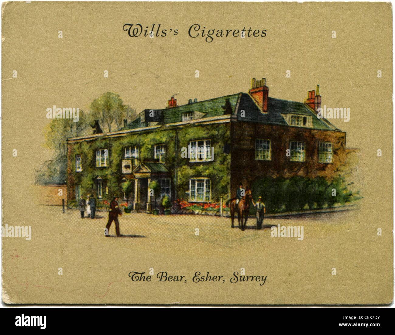 BRITAIN - CIRCA 1934: Cigarette card shows Bear, Esher, Surrey, circa ...