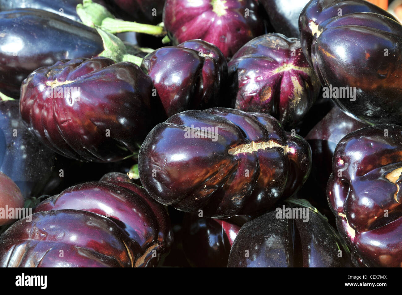 Aubergine or brinjal hi-res stock photography and images - Alamy