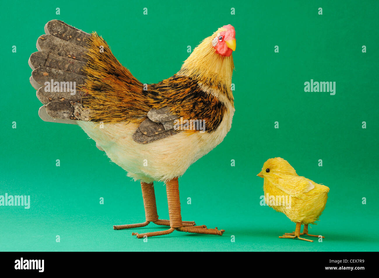 Hen chick studio hi-res stock photography and images - Alamy