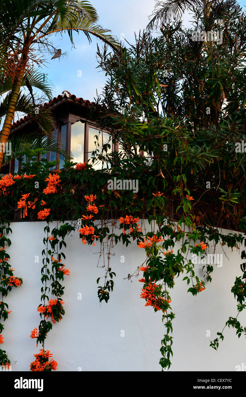 Tenerife Santa Cruz Architecture High Resolution Stock Photography and ...