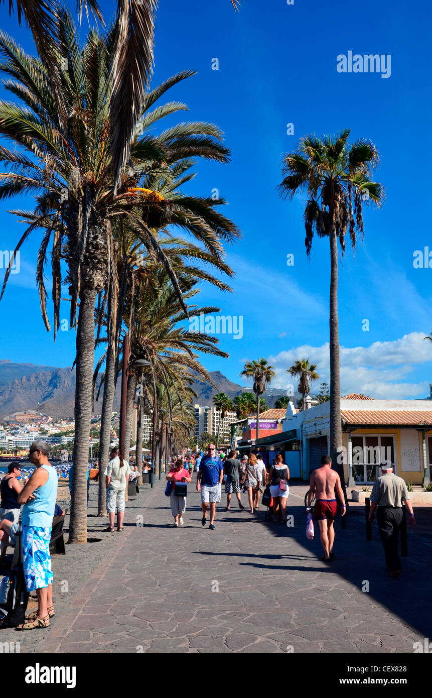 Tenerife santa cruz hi-res stock photography and images - Alamy
