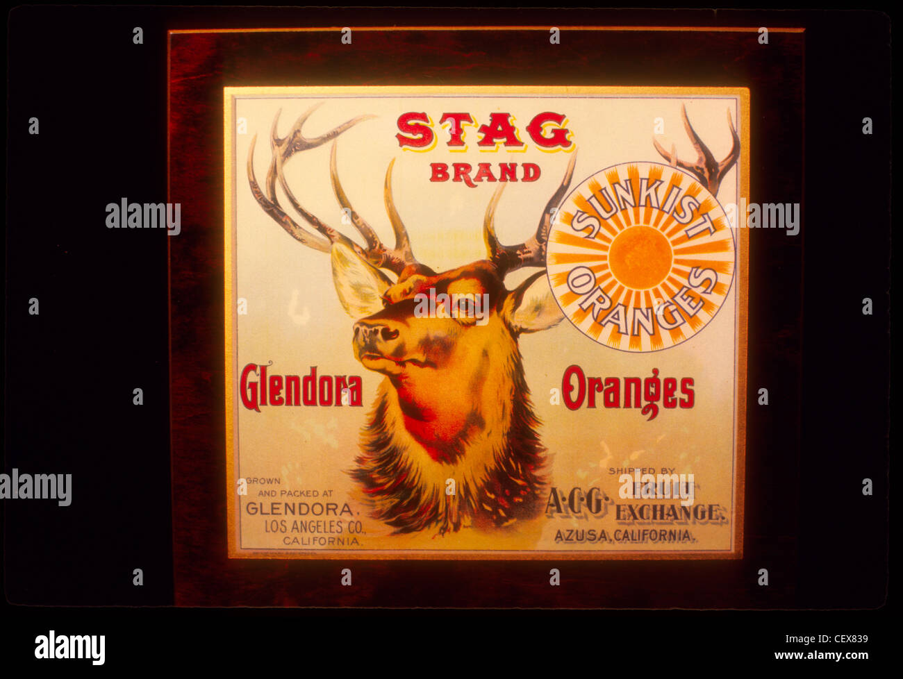 Stag Brand Glendora Oranges label citrus industry farming in Southern ...