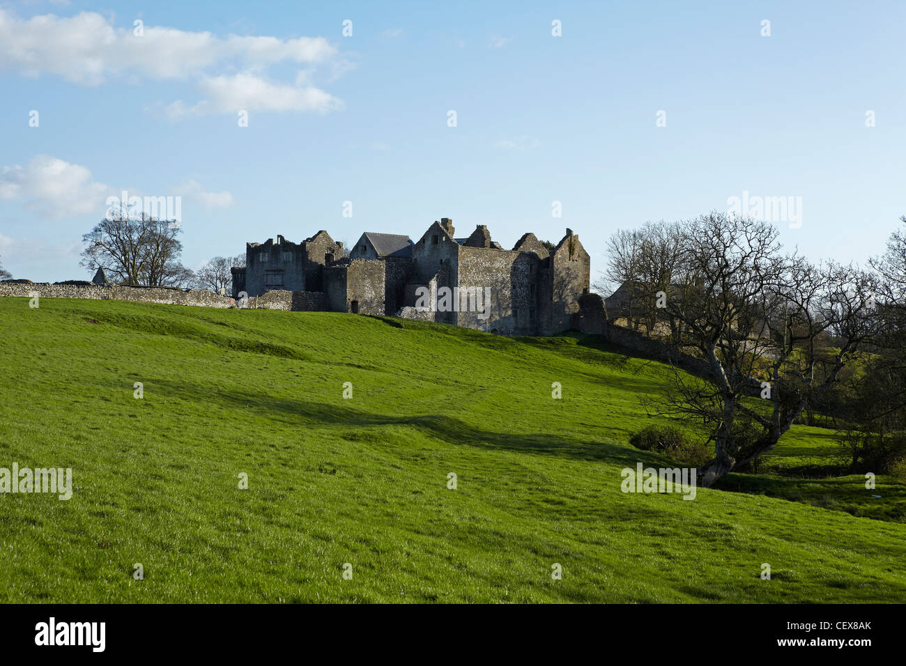 Old beaupre castle hi-res stock photography and images - Alamy