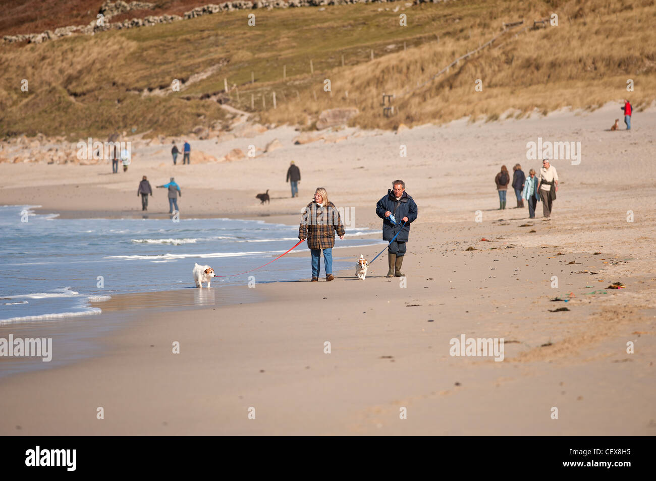 Dogs walkers hi-res stock photography and images - Alamy