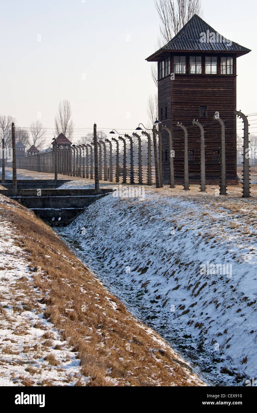 Barbed wire auschwitz birkenau hi-res stock photography and images - Alamy