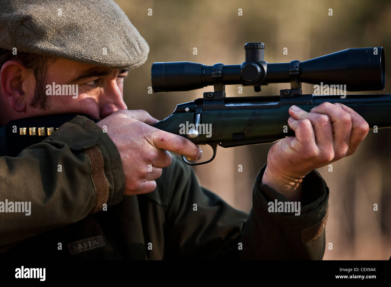 Man Deer hunting in Thetford forest, UK Stock Photo - Alamy