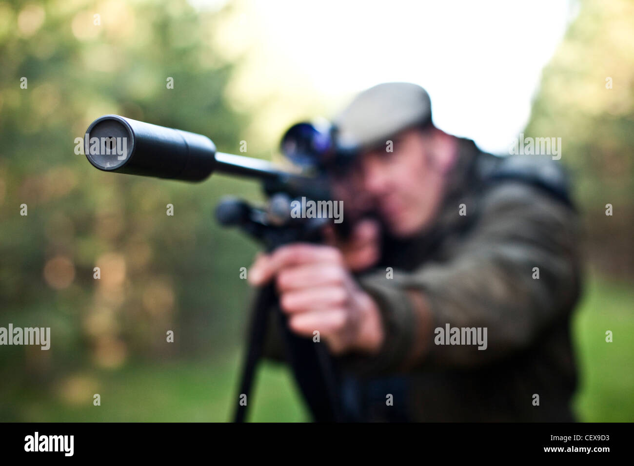 Man Deer hunting in Thetford forest, UK Stock Photo - Alamy