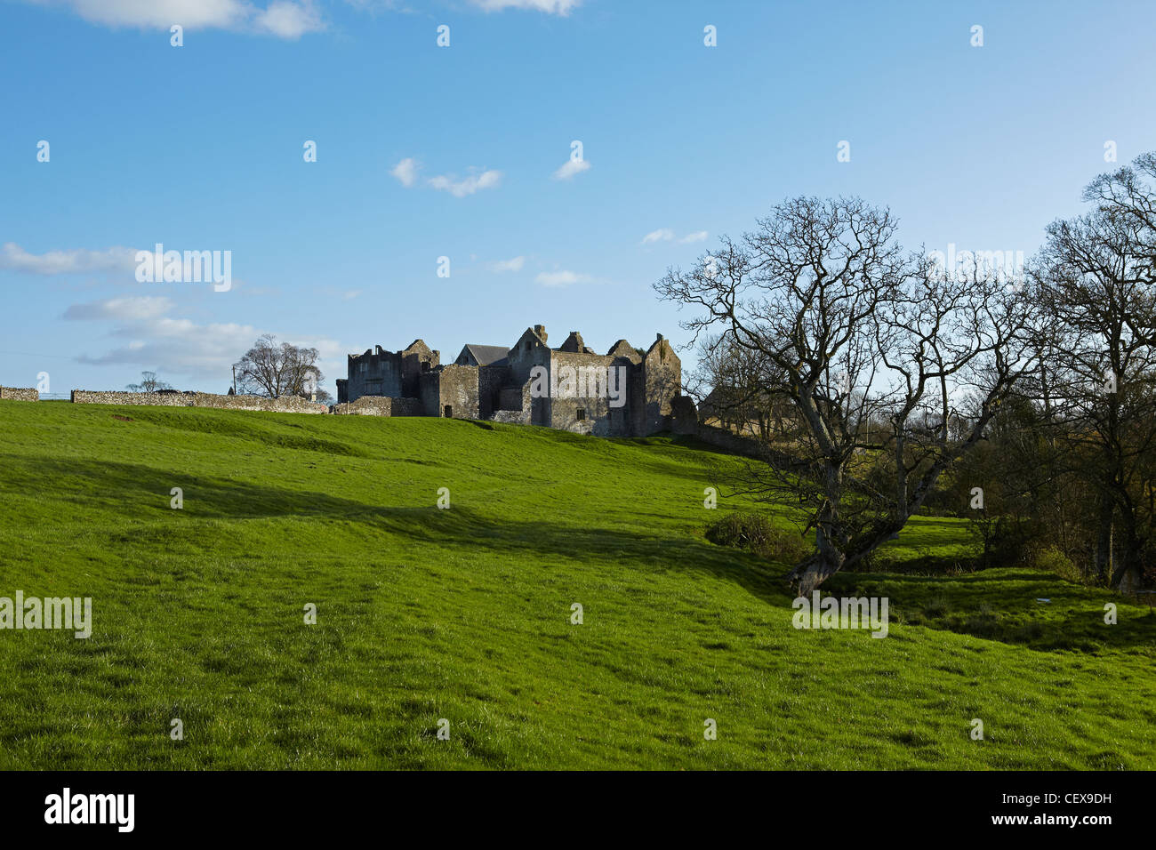 Old beaupre castle hi-res stock photography and images - Alamy