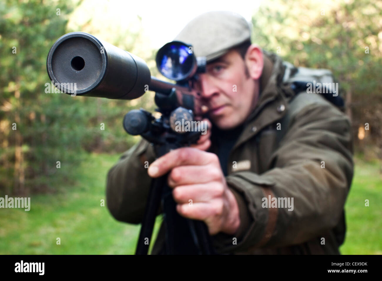 Man Deer hunting in Thetford forest, UK Stock Photo - Alamy